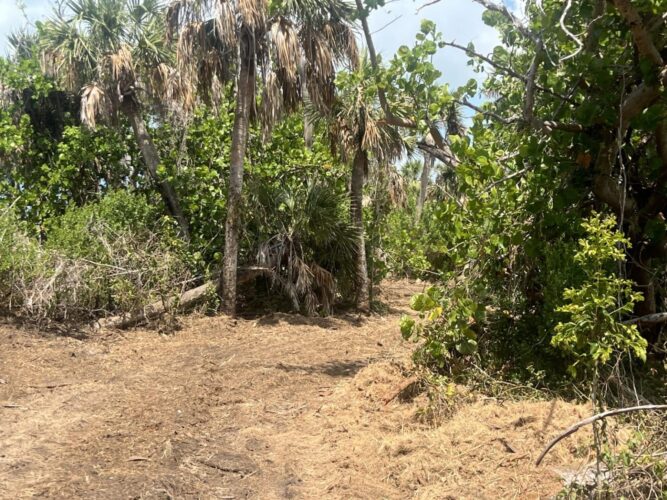 SCCF working to reopen more of nature trail - SANIBEL-CAPTIVA - Island ...